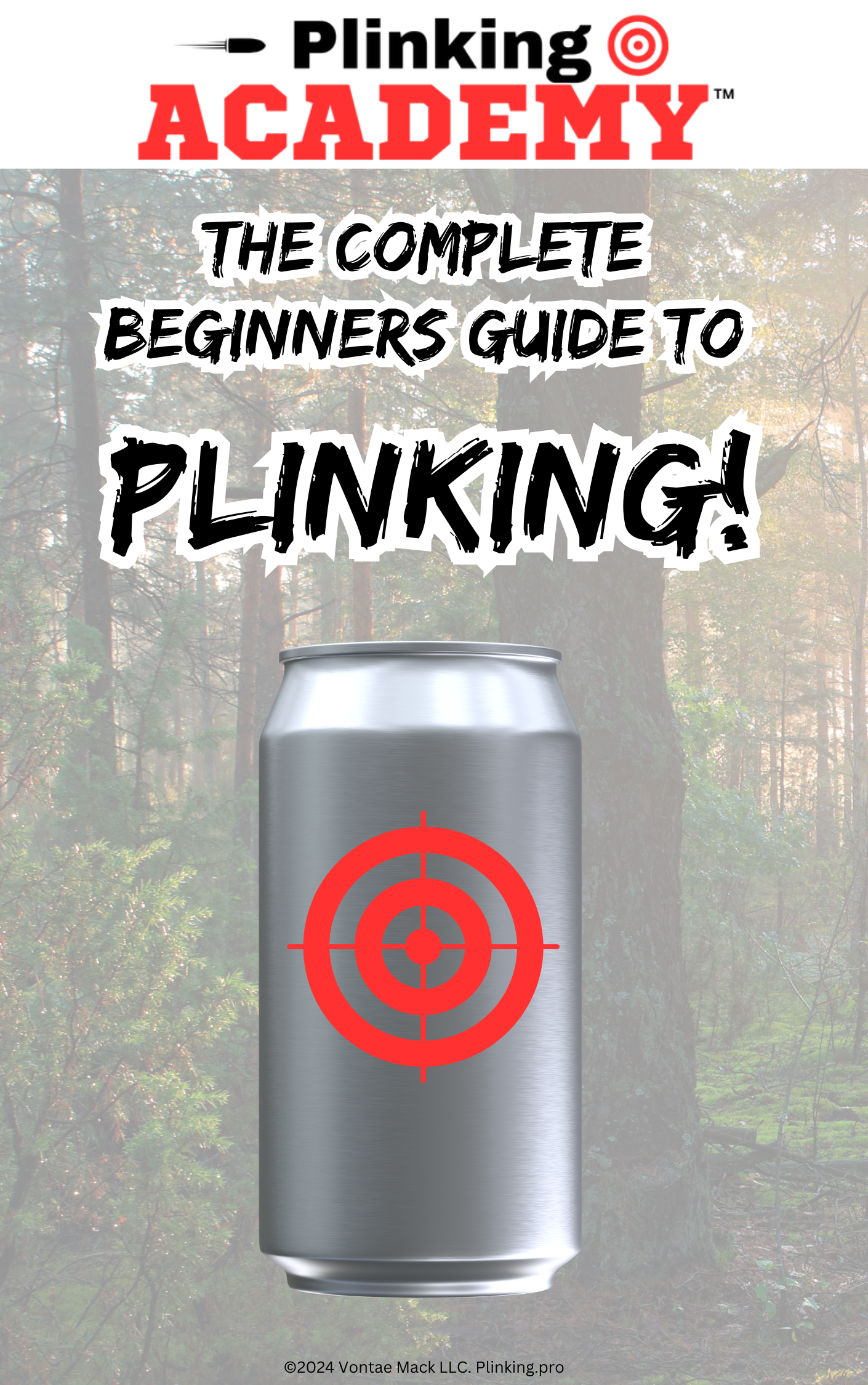 Beginners Guide To Plinking | Plinking Academy